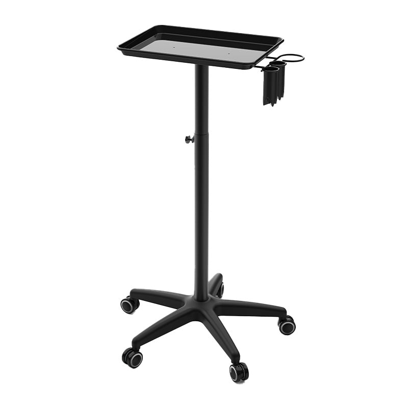 Great Deals on our Lotus Aluminium Tint Stand Black – Salons Direct