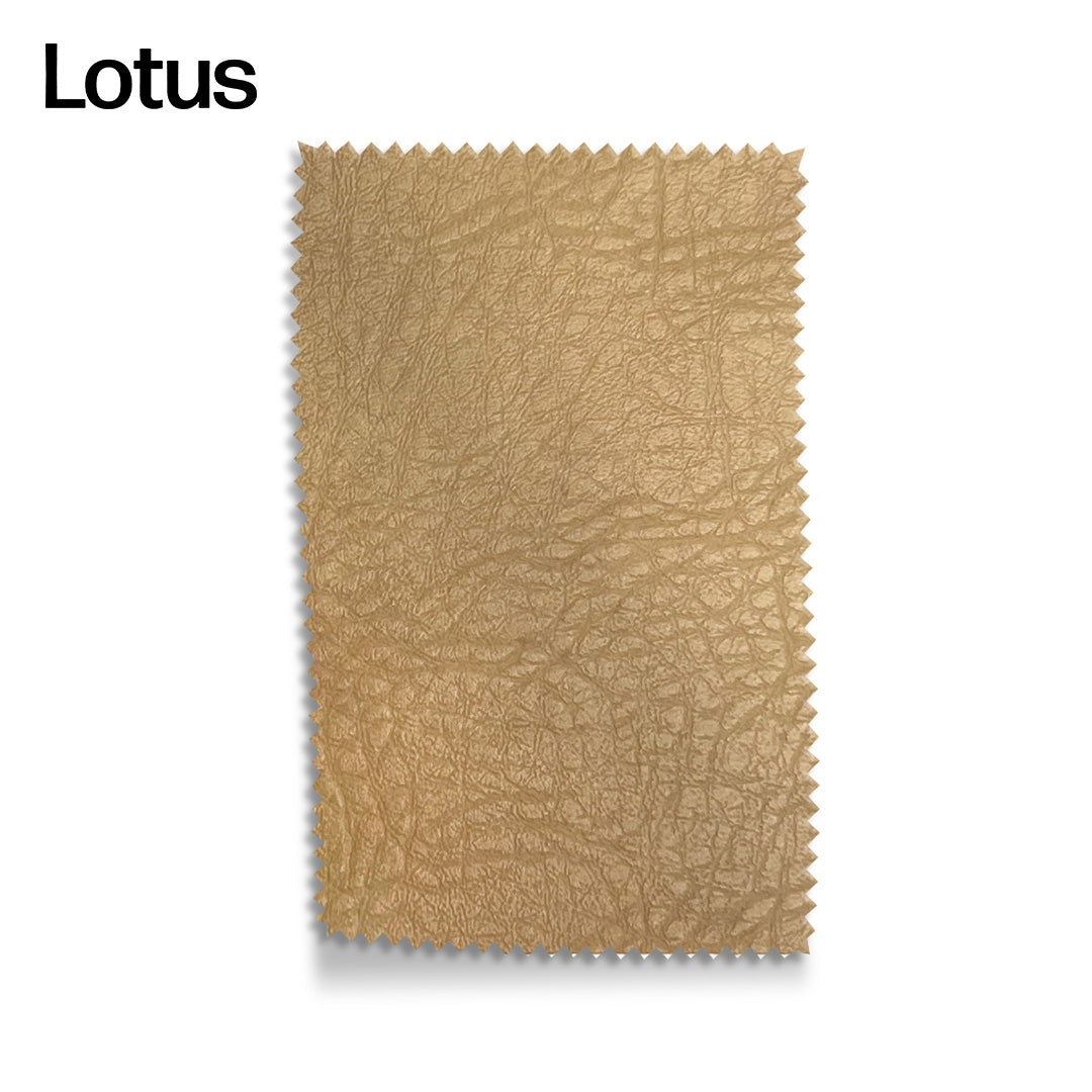 Buy Lotus Phoenix Range Biscuit Fabric Swatch – Salons Direct
